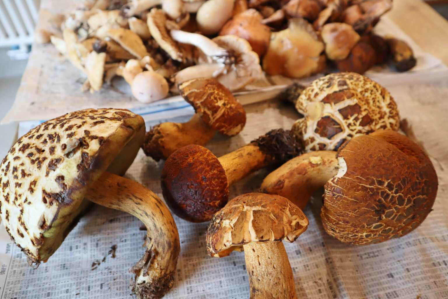 秋の訪れを感じる一品。色んな種類の“雑きのこ”と根菜を煮込んでつくる、きのこ汁。 | 株式会社やまとわ